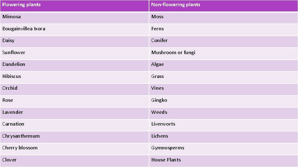 FLOWERING AND NONFLOWERING PLANTS BY NICOLE ONG Flowering
