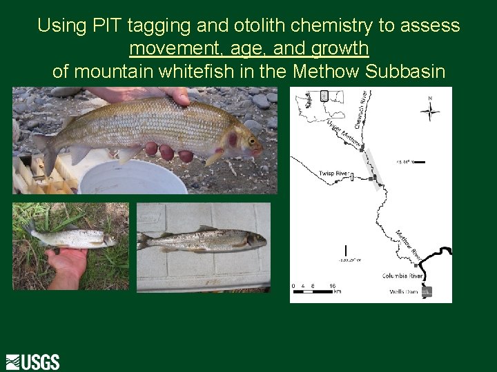 New approaches afforded by PIT tag technology have