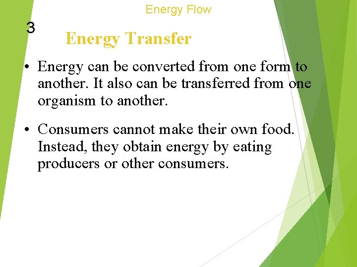 Energy Flow 3 Energy Transfer Energy can be