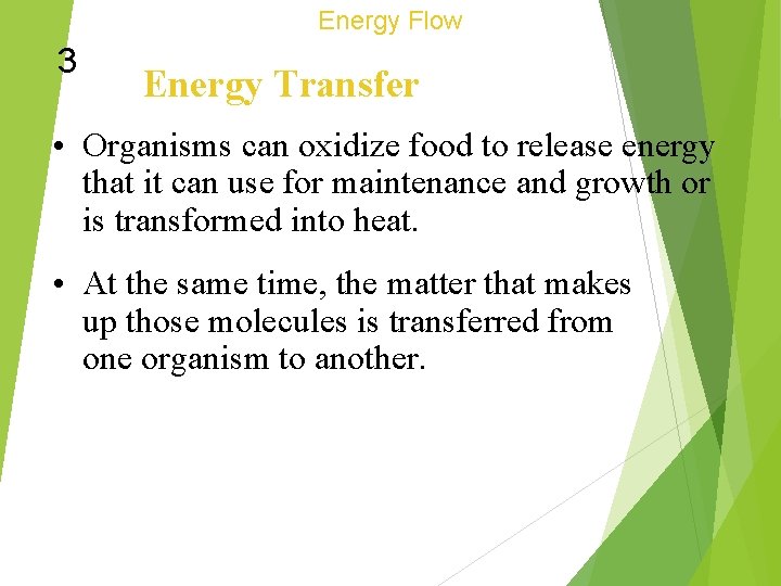 Energy Flow 3 Energy Transfer Energy can be
