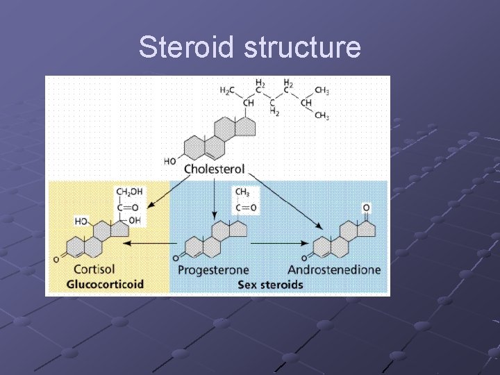 Feedback mechanisms hormones and the endocrine system What