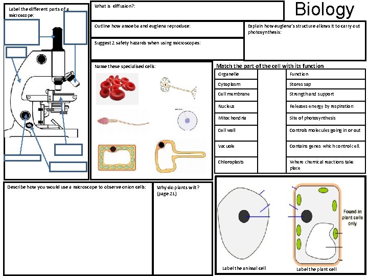 Label the different parts of a microscope Biology