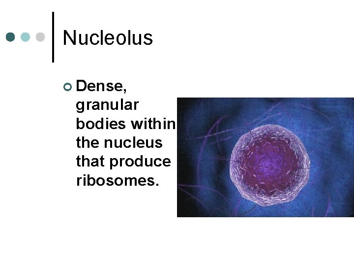 The Cell Types of Cells Parts of Cells