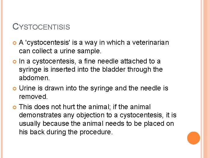 NURSING CARE AND PROCEDURES Michael Lavoie Veterinary Assistant