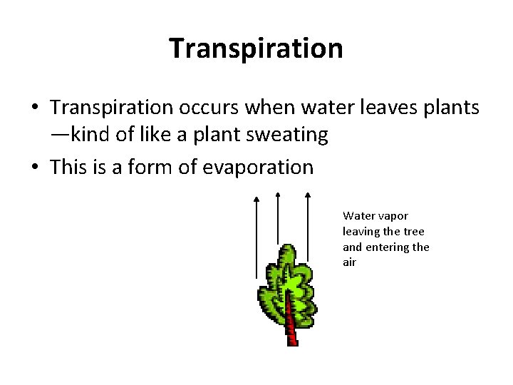 Water Cycle The Movement of Water What is
