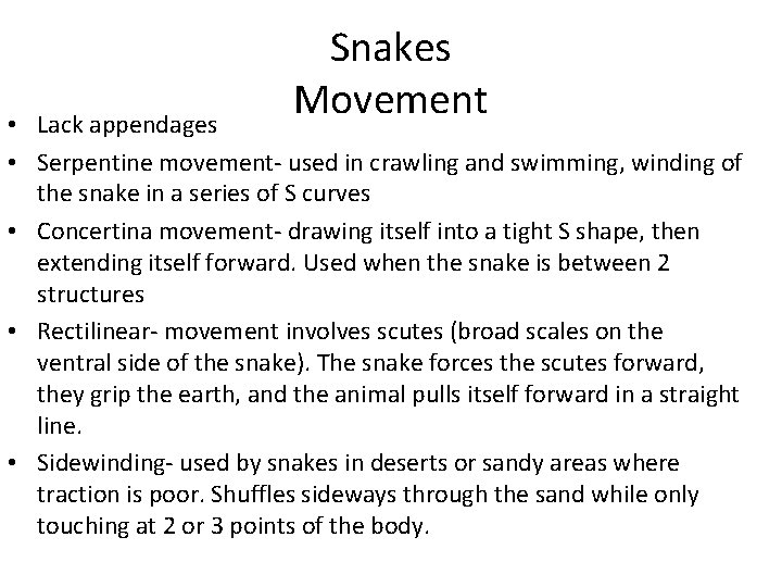 Taxonomy Phylum Chordata Subphylum Cephalochordata amphioxus or lancelet