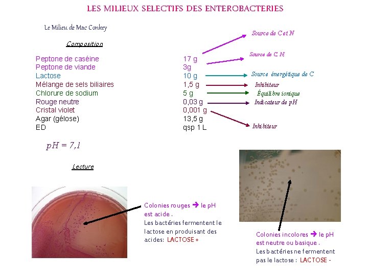 LES MILIEUX SELECTIFS DES ENTEROBACTERIES Le Milieu de