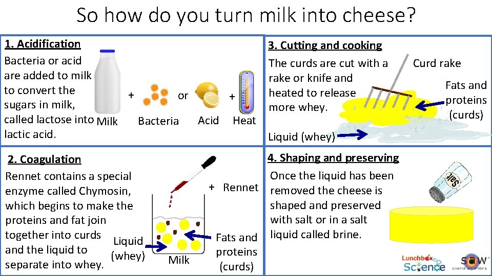 Cheese What is cheese Cheese is a dairy