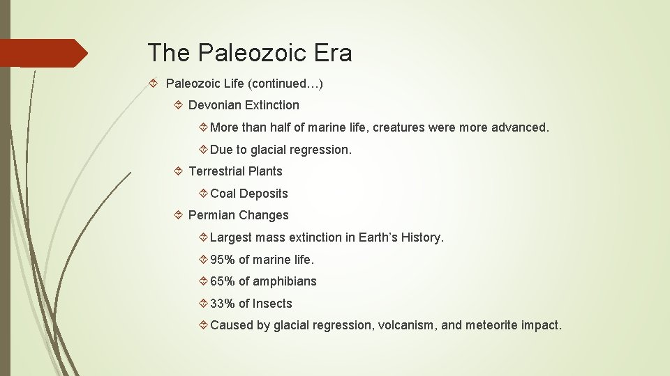 Chapter 23 The Paleozoic Mesozoic Cenozoic Eras The