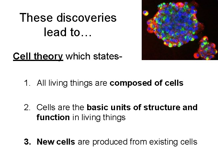 Cell Structure and Function Unit 4 What is