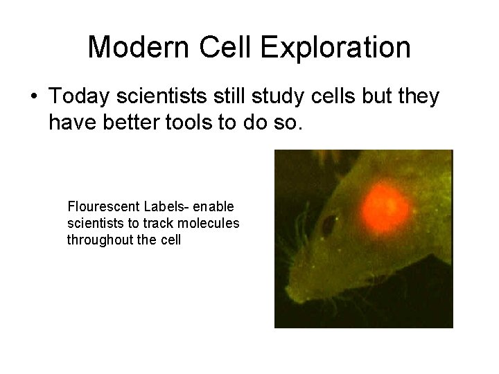 Cell Structure and Function Unit 4 What is