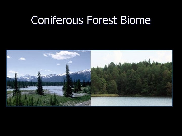 Exploring Earths Biomes Biomes Divisions in the environment