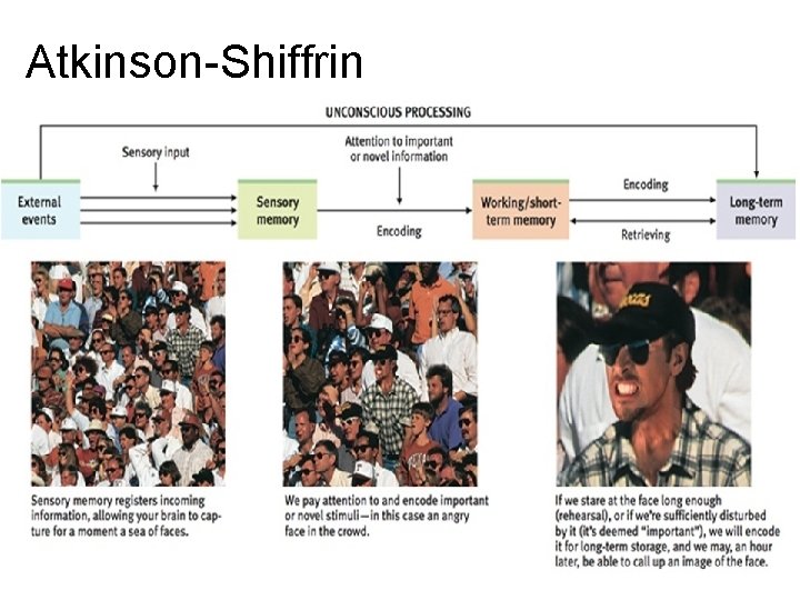 Memory Bellringer Write down the company this ad