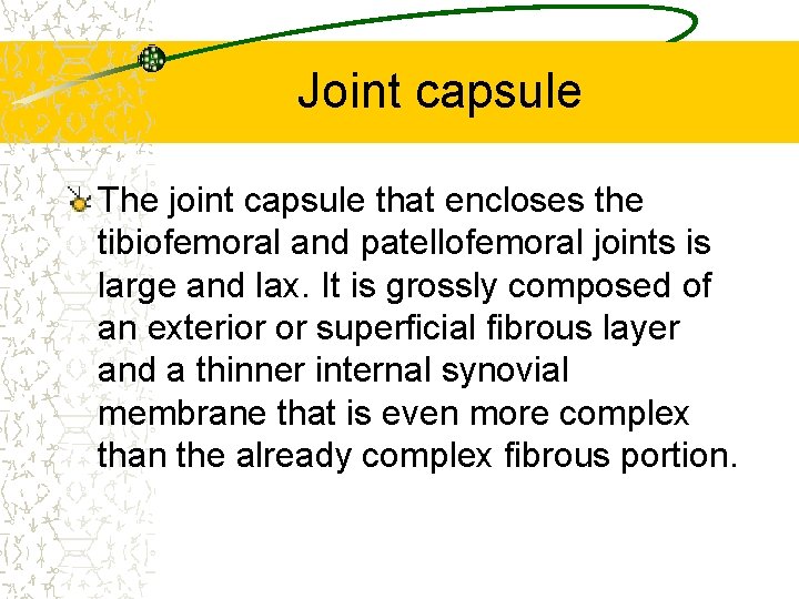 Lecture4 BIOMECHANICS OF KNEE JOINT Menisci Both menisci