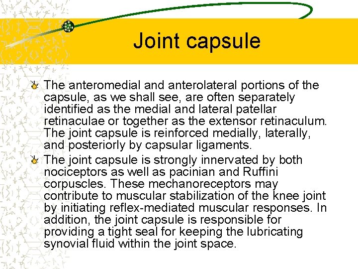 Lecture4 BIOMECHANICS OF KNEE JOINT Menisci Both menisci