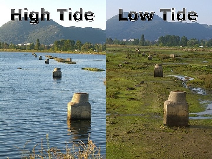 Ocean Tides and SolarLunar Eclipses Essential Questions How