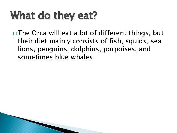 Orcas Aka Killer Whales Cade Sutherland Facts Largest