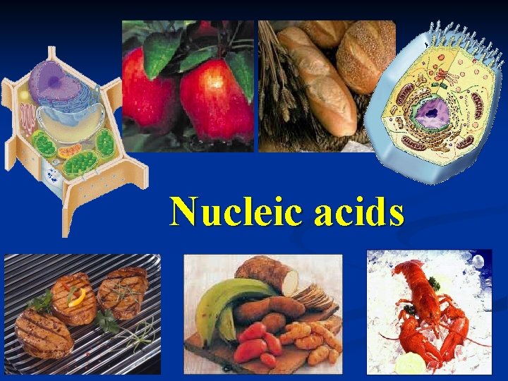 Nucleic acids II Nucleic Acids 1 Elements C