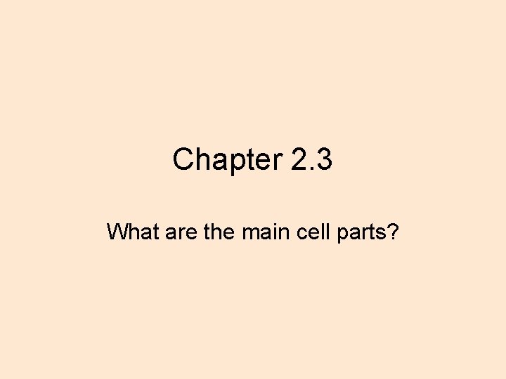 Chapter 2 3 What are the main cell