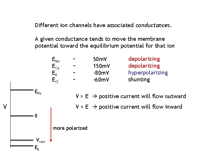 Computing in carbon Basic elements of neuroelectronics membranes