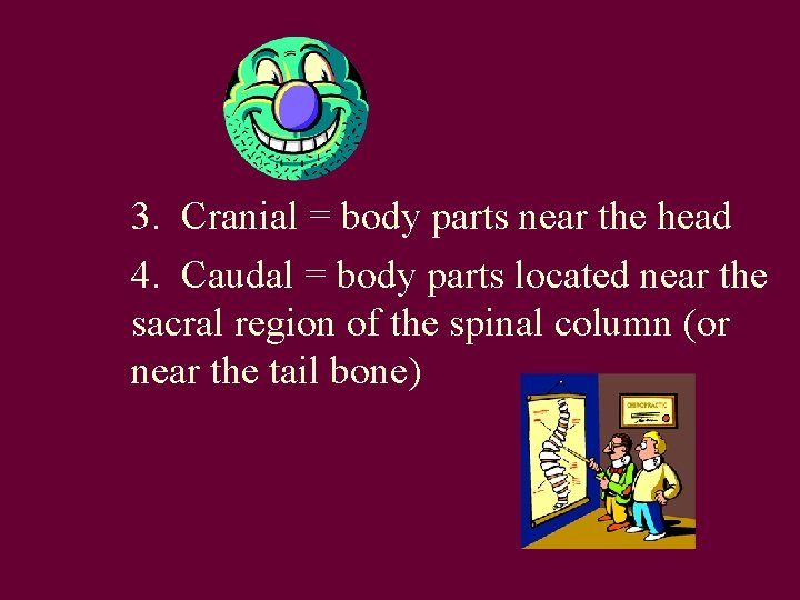 Body Planes Directions and Cavities Objectives Label a