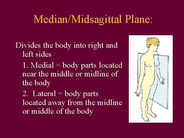 Body Planes Directions and Cavities Objectives Label a