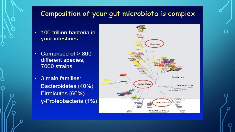 NORMAL GUT MICROBIOTA Dr Valizadeh toosi Khordad 93