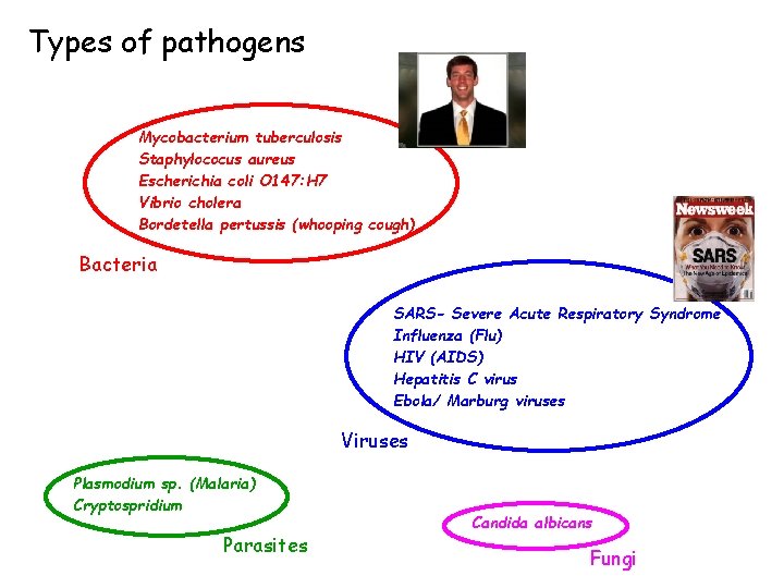 Pathogens and the immune system Lecture 8 Review