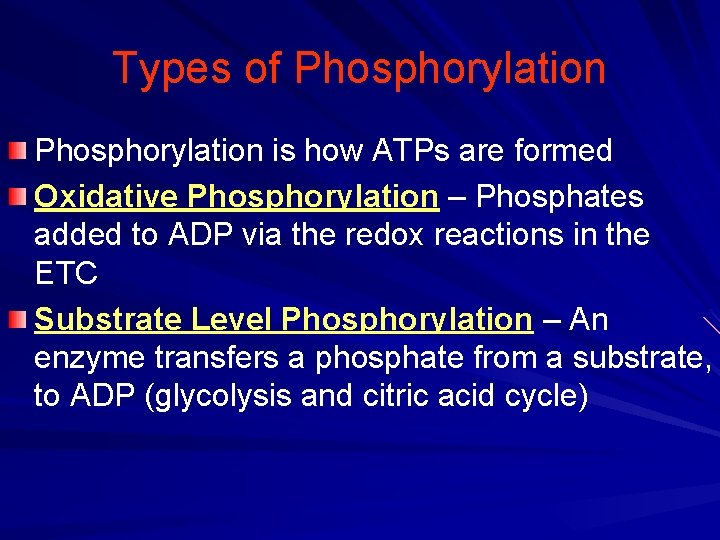 Cellular Respiration Overview Cellular Respiration Aerobic Cellular ...