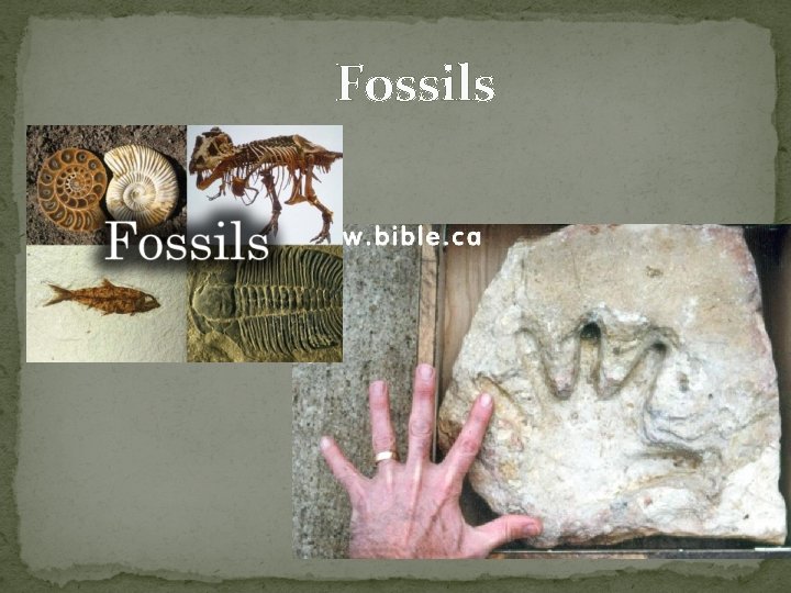 Chapter one Uncovering the past Section 1 The
