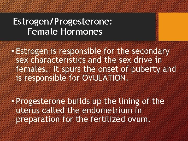 Human Reproduction Female Reproductive System Female reproductive organs