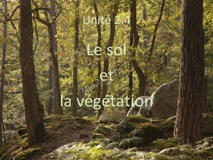 Unit 2 4 Le sol et la vgtation