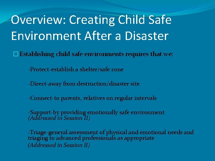 Creating Child Safe Environments After a Disaster Session