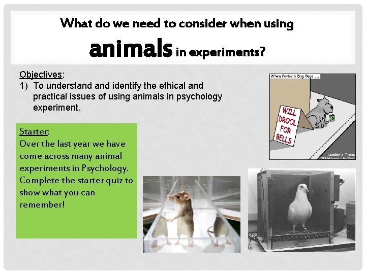 What do we need to consider when using