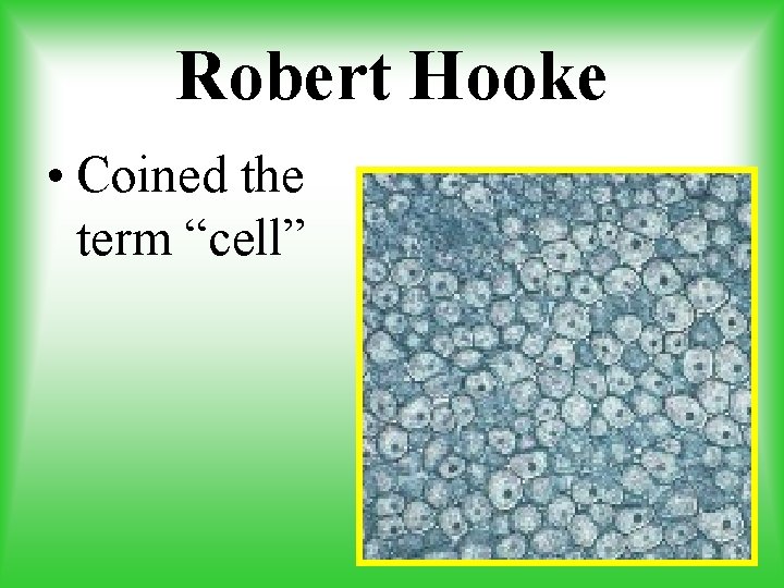 PLANT AND ANIMAL CELLS Early Scientists Contributions Record