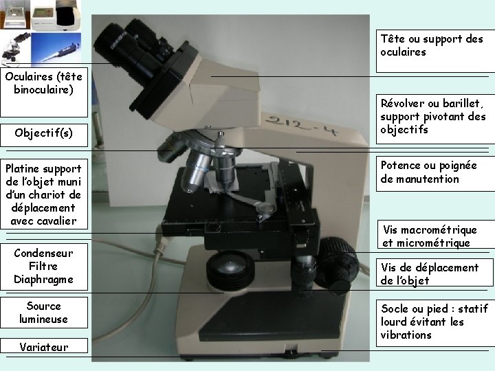 Le microscope au laboratoire de biologie et son