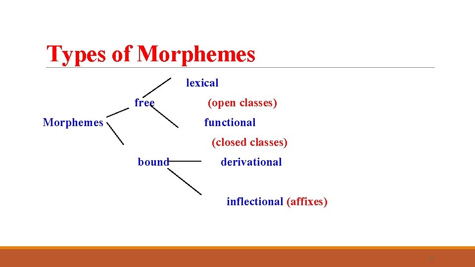 Morphology Introduced Lecture 1 DR SAUDI SADIQ BA
