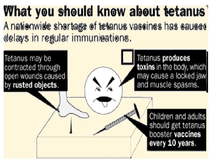 Tetanus neonatorum Tetanus neonatorum Important cause of newborn