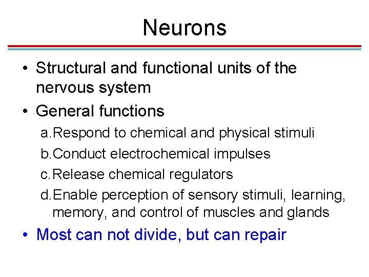 Chapter 7 The Nervous System Neurons and Synapses
