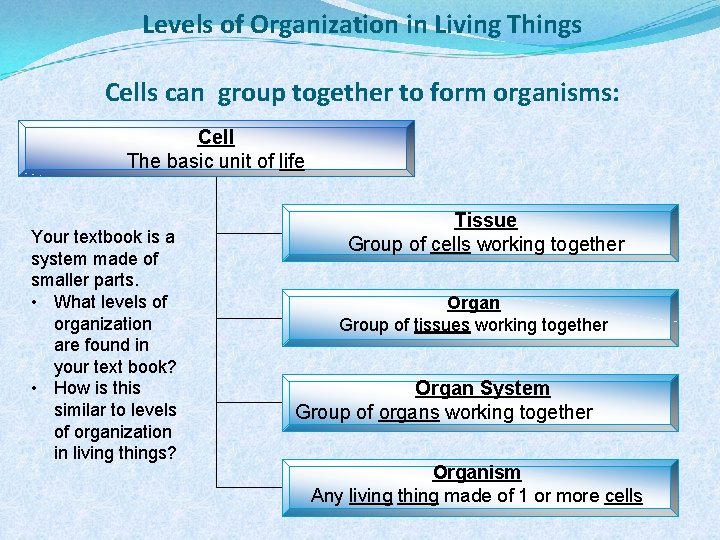 Levels of Organization in Living Things Review can