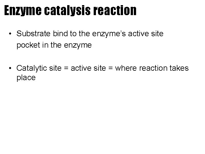 ENZYME BIOLOGICAL CATALYST Enzyme As Catalyst All enzymes