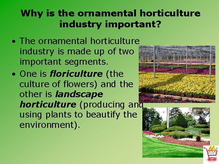 Horticulture Science Lesson 2 Determining the Importance of