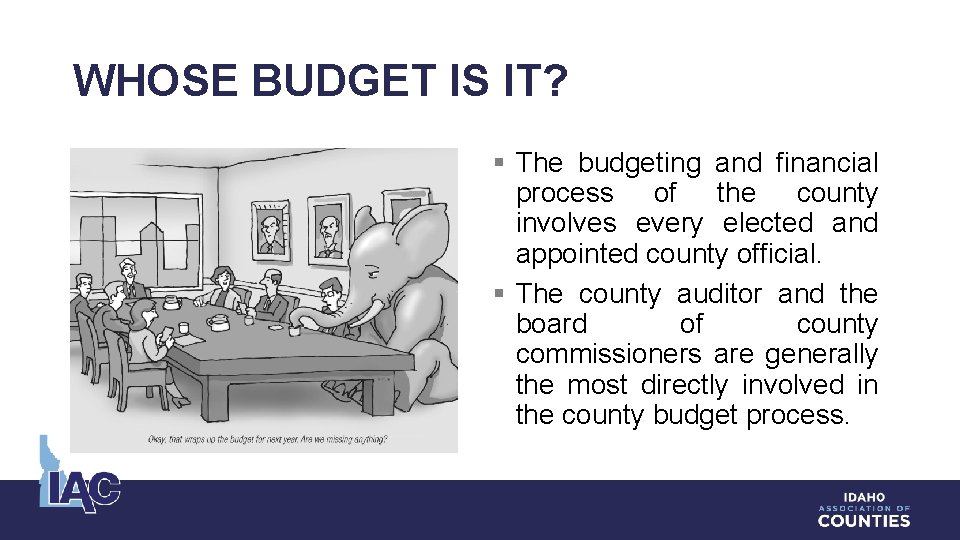 ROLES AND RESPONSIBILITIES OF COUNTY OFFICIALS BUDGETING BASICS