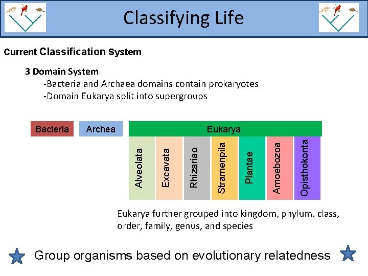 Mycobacterium tuberculosis The microbial world S Cerevisiae yeast