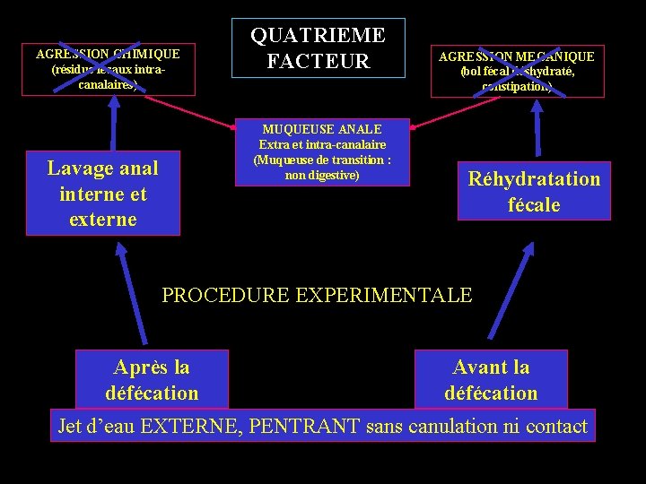 HEMORROIDES PHYSIOPATHOLOGIE TRAITEMENT Claude Franceschi PREMIER ...