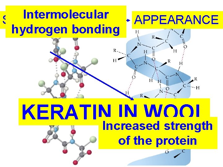 KERATIN a family of fibrous structural proteins which