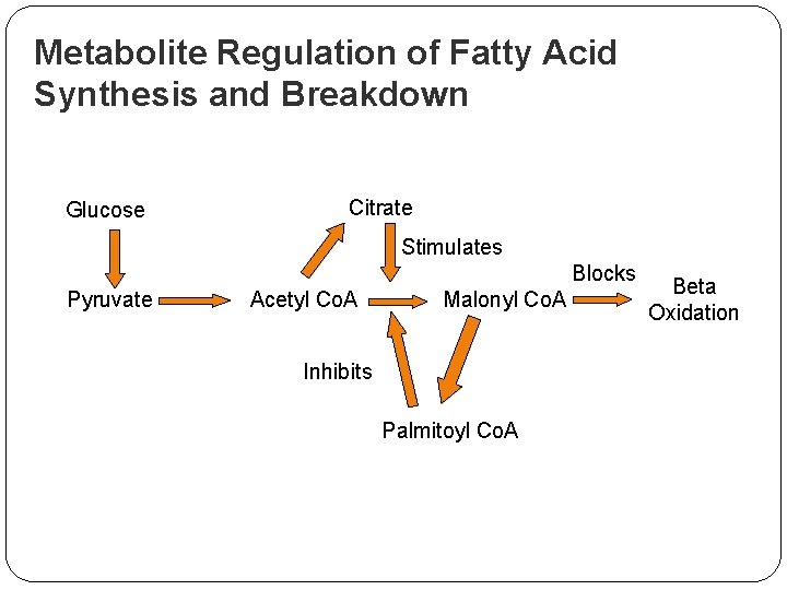 Ketogenesis Formation of Ketone Bodies Definition It is