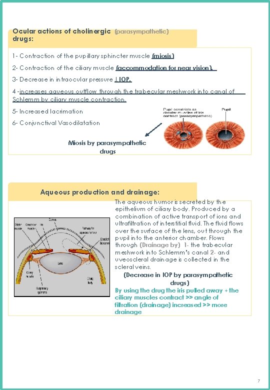Pharmacology Of Drugs Acting On the Eye Objectives