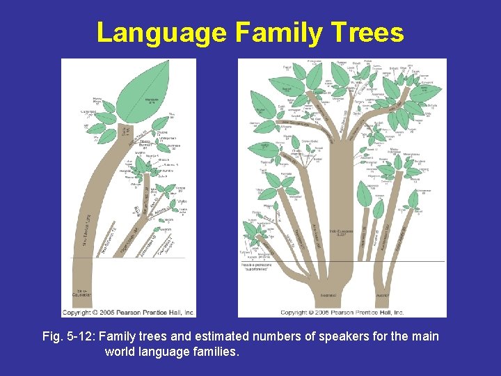Chapter 5 Language Distribution of Other Language Families