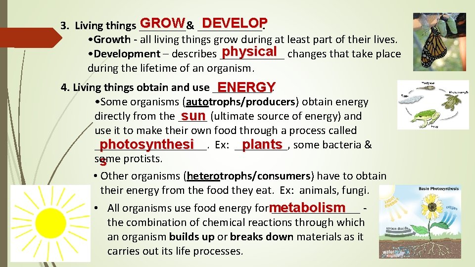 Intro to Biology Characteristics of Life Intro to
